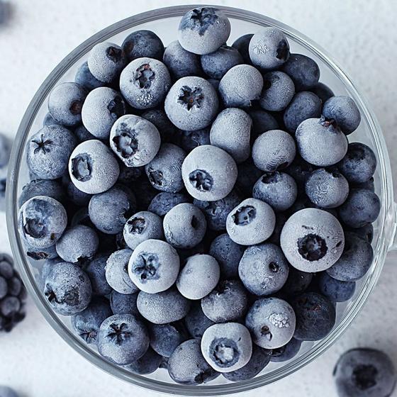 Muda Produzindo de Mertilo ou Blueberry para Clima Quente ...