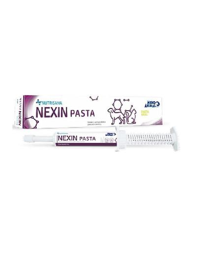 Nexin Pasta Nutrisana Seringa - 40 gr - mundo animal - Vitaminas e ...