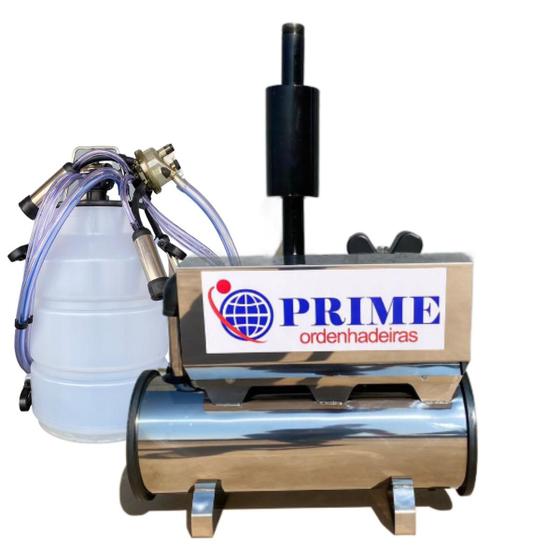 Ordenhadeira mecanica fixa balde ao pe inox para 1 vaca - bomba 450 motor 2cv - suporta até 4 ...