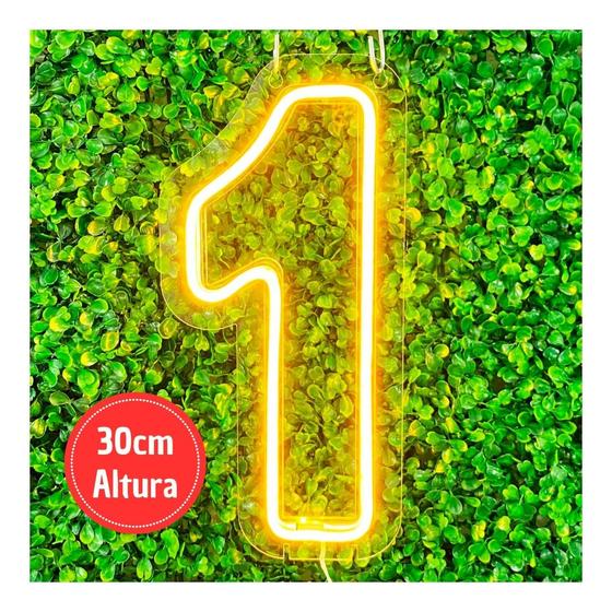 Painel Neon Led Numero 1 de 30 cm decoração festa aniversario - bloom ...