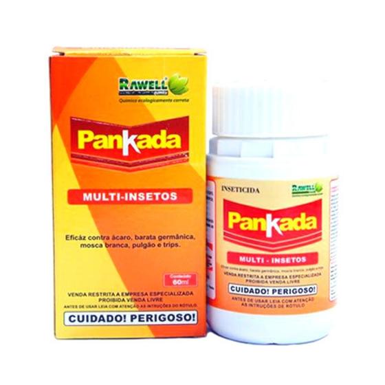 Pankada 30 ml mata formiga, barata cupim, pulgão, cochonilha - Rawell ...