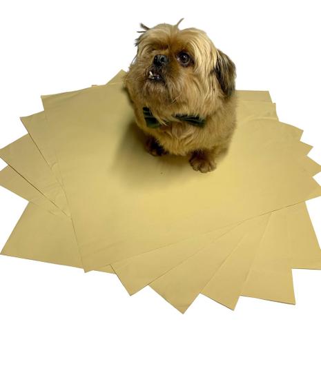Papel para Pet em Folhas Cortadas 60cm X 55cm com Xixi Pode - Papel ...