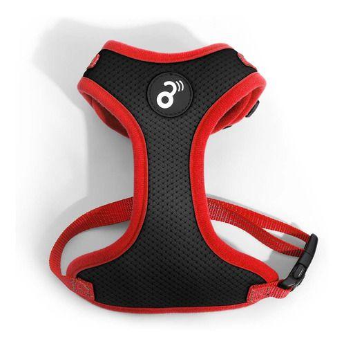 Peitoral para Cachorro Flow Mesh Vermelho E Preto Tam. Xp Mimo ...
