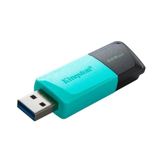 Pen Drive 256GB Kingston, USB 3.2, DataTraveler Exodia M - DTXM/256GB ...