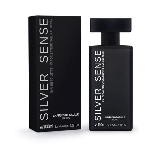 Perfume Masculino Silver Sense Eau de Toilette 100ml - Perfume ...