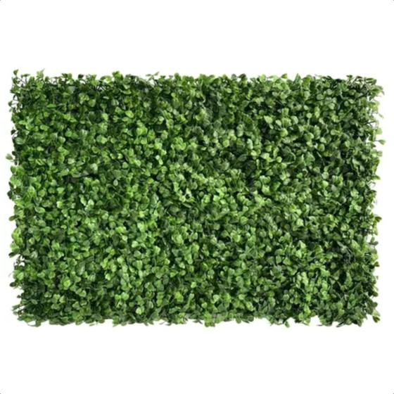 Placa De Buxinho Parede Verde Artificial Decoração - DIDO FLORES ...