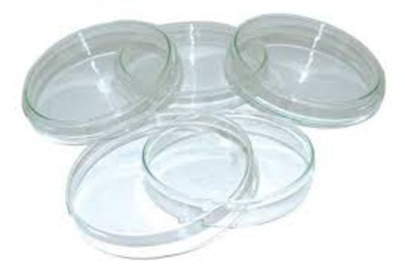 Placa de petri de vidro transparente 100x15mm pacote com 5 unidades ...