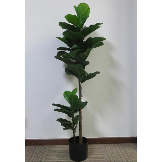 Planta ficus-lira 125cm natural c/pote st38901 ndi - Flor e Planta ...