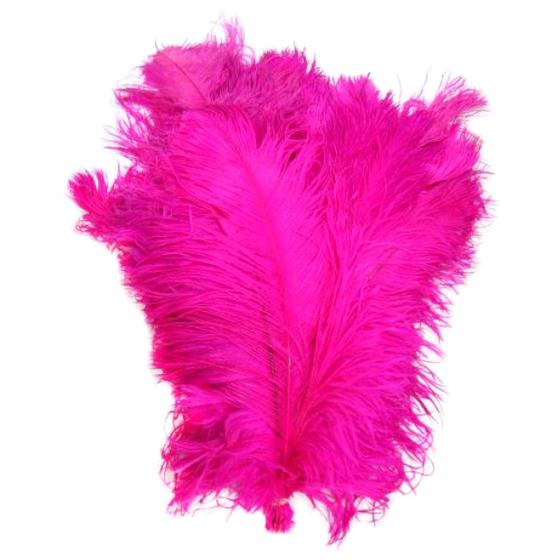Plumas de Avestruz Extra Tipo Chorona Branca Carnaval 25g - Plumas e ...