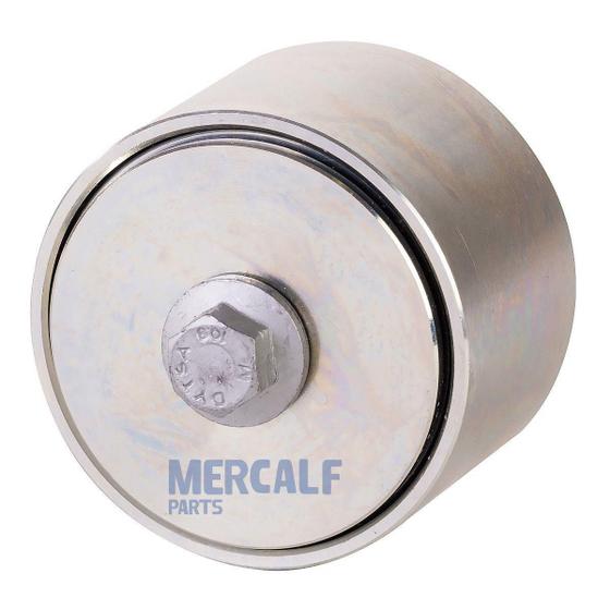 Polia Tensora da Correia 504006261 Iveco - Autopeças - Magazine Luiza