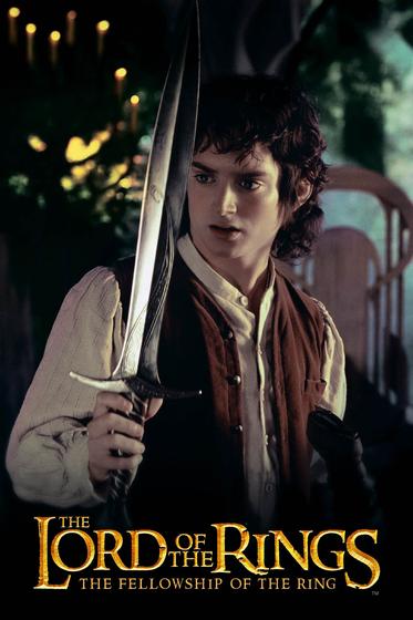 Poster Cartaz O Senhor dos Anéis A Sociedade do Anel E - Pop Arte ...