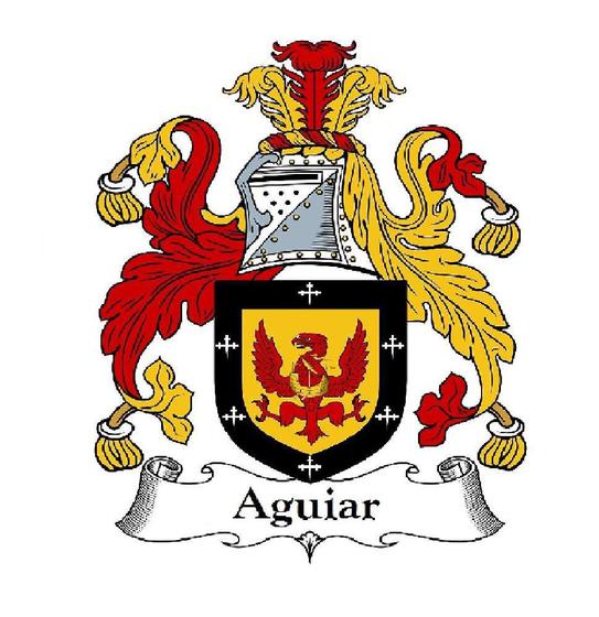 Pôster Heráldica Brasão Da Família Aguiar 32X43 Cm - Mundo Das ...