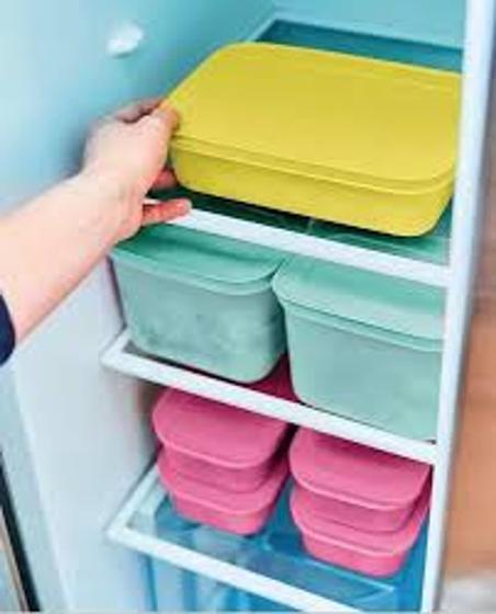 POTE Da Tupperware de freezer LINE 2,5,l - Pote - Magazine Luiza