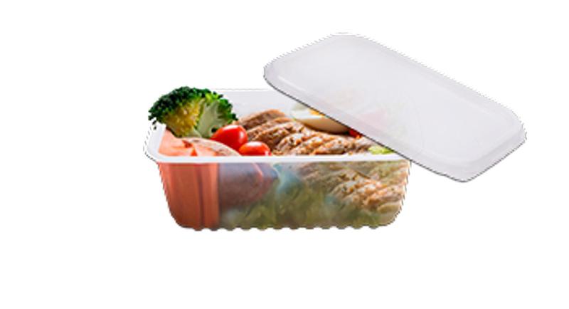 Pote retangular 500ml plastico com tampa 24un / prafesta - Pote Descartável - Magazine Luiza