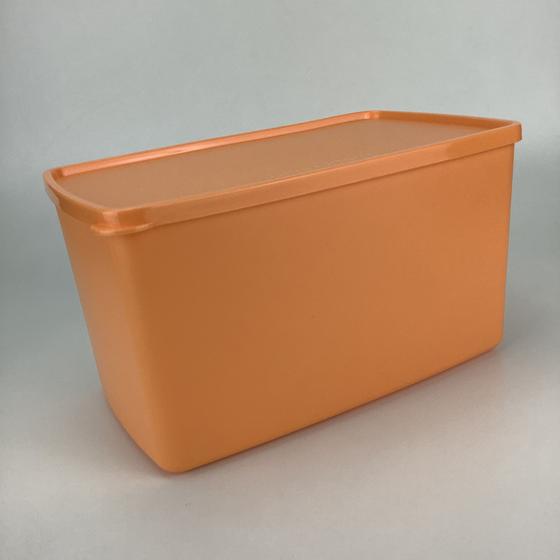 Pote Tupperware Freezer E Geladeira Vasilha Com Tampa - Pote - Magazine ...