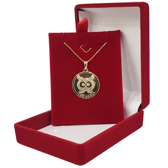 Presente Formatura Colar Pedagogia Pedagoga banho de ouro 18k ...