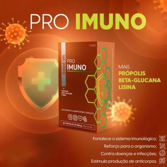 Pro Imuno Good Vit 500mg 60 Cps Lisina/própolis/beta-glucana - GOODVIT ...