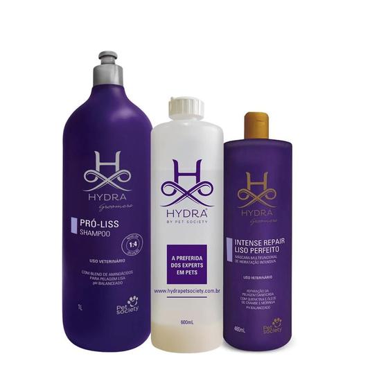 Pro-liss Shampoo + Intense Repair System Liso Perfeito + Frasco ...