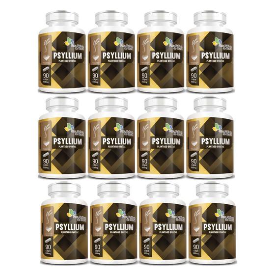 Psyllium 500 mg 90 caps - kit 12 und - Flora Nativa do Brasil ...