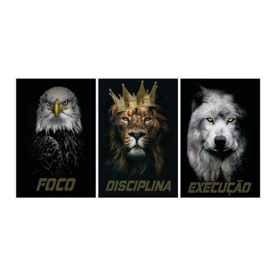 Quadro Decorativo Leão Disciplina Águia Foco Lobo Execução ...