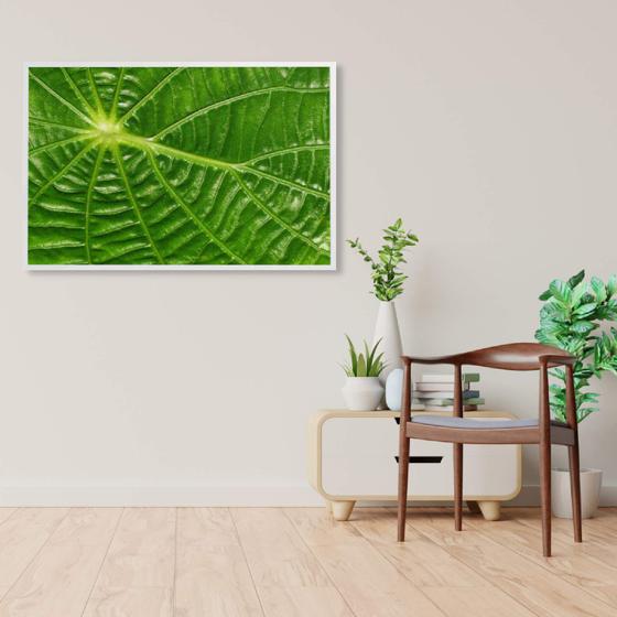 Quadro Folha Floresta Amazônica - Decor&Quadros - Quadro Decorativo ...