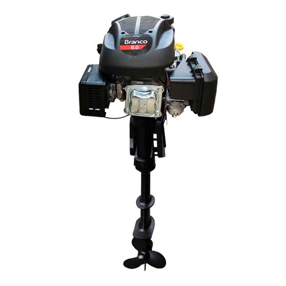 Rabeta Vertical Bristol com Motor a Gasolina 6,0 cv Partida Elétrica ...