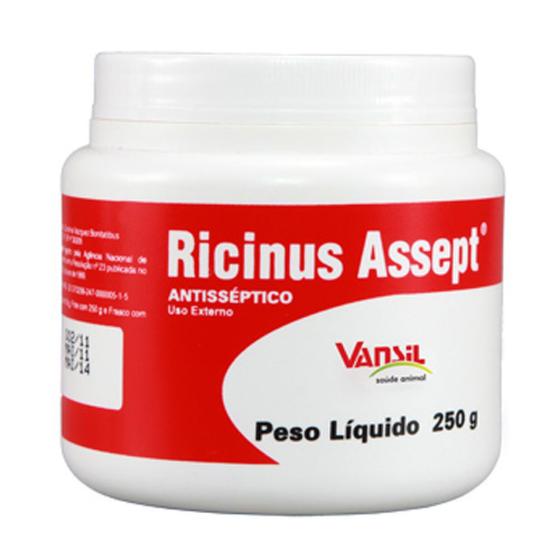 Ricinus Assept Pasta 250g Pomada Hidratante e Cicatrizante - Vansil ...