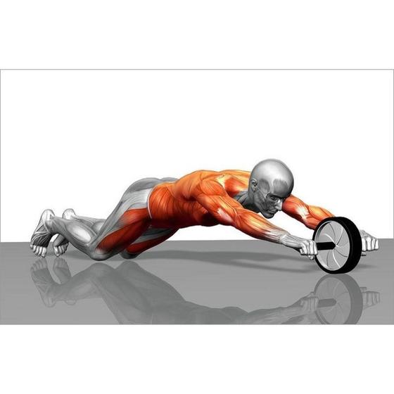 Roda de Exercícios - Roda abdominal - Hidrolight - Roda Abdominal ...