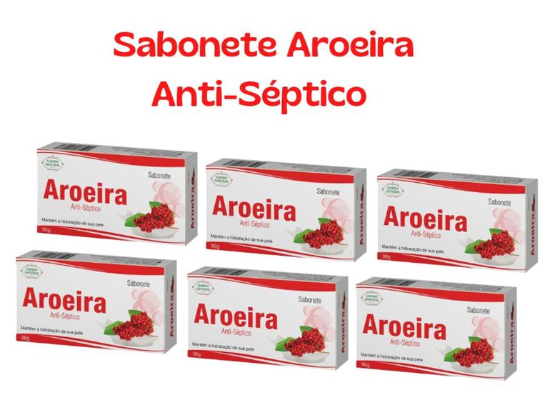 Sabonete Aroeira Anti-Séptico Pct C/6 Unidades - Lianda Natural ...