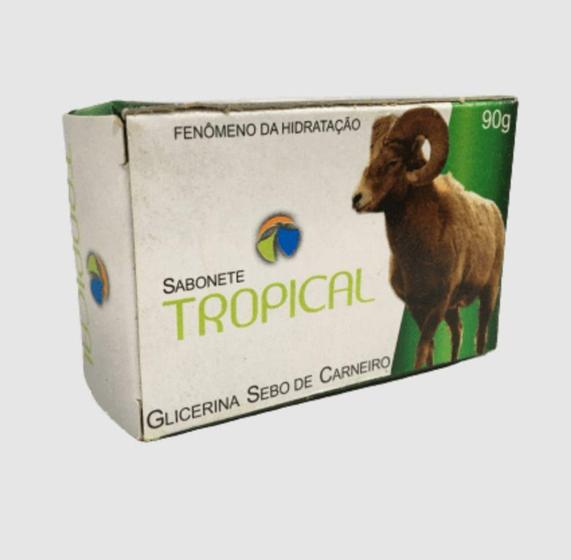 Sabonete Em Barra Glicerina Sebo De Carneiro Tropical 90G - Sabonete ...