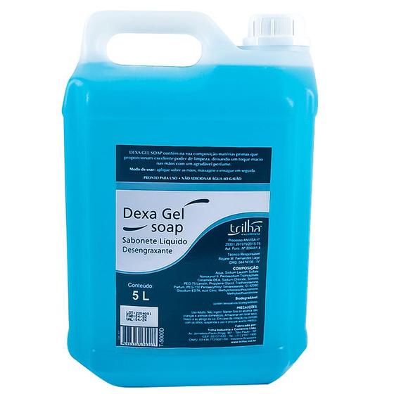 Sabonete Líquido Desengraxante 5 Litros Dexa Gel - Artlimp - Produtos ...