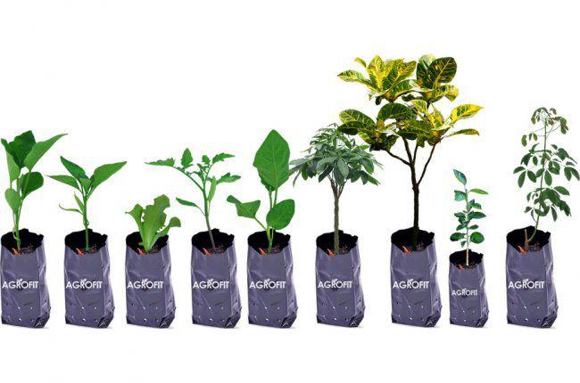 Saco Plástico para Mudas 10cm x 20cm Agrofit - Kit 1.000 unidades ...