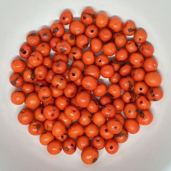 Semente de Açaí 8mm Pacote com 50 unidades DIY Artesanato - Flora Store ...