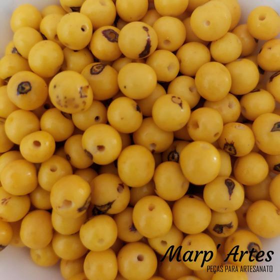 Semente de açai passante com 50 unid. - Brasileira - Sementes ...