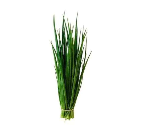 Semente De Cebolinha Fantastica Envelope 100 G - Blueseeds - Sementes ...