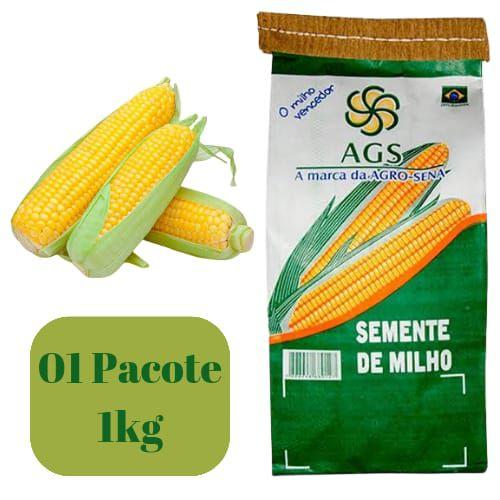Semente De Milho Verde Hibrido 1051 1Kg P/ pamonha Cural - Agro-Sena ...
