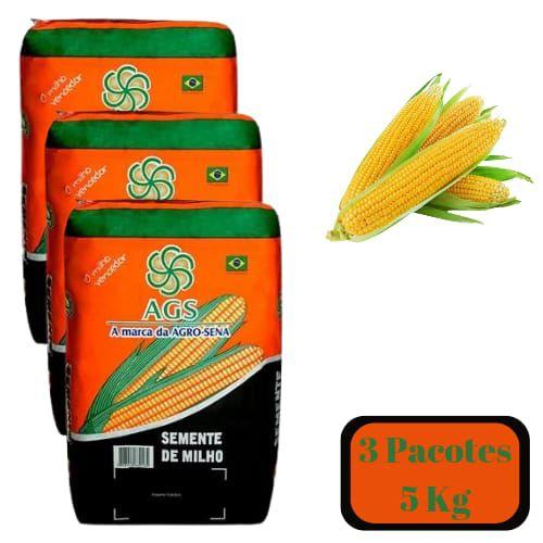 Semente De Milho Verde Hibrido 1051 P/ pamonha 3u de 5Kg - Agro-Sena ...
