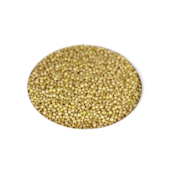 Semente de Mostarda Para Consumo e Auriculoterapia 200GR - Temperos ...