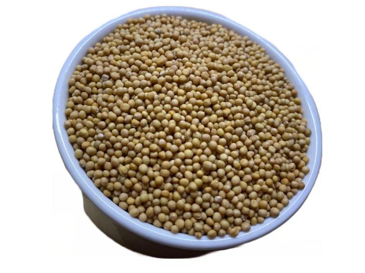 Semente de Mostarda Para Consumo e Auriculoterapia 500GR - Temperos ...