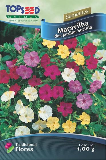 Semente Flor Maravilha Jardins - Topseed Garden - Sementes - Magazine Luiza