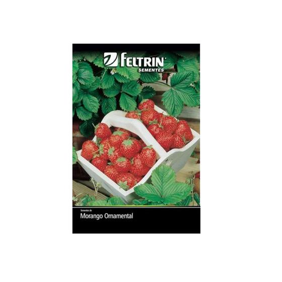 SEMENTE MORANGO VERMELHO RUGE (MORANGO ORNAMENTAL) 50mg - FELTRIN ...