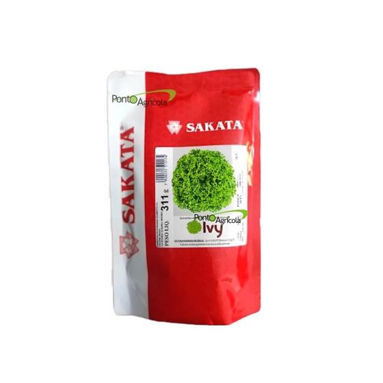 Semente Peletizada Alface Crespa Sakata Ivy 7.500 Sementes - Sementes ...