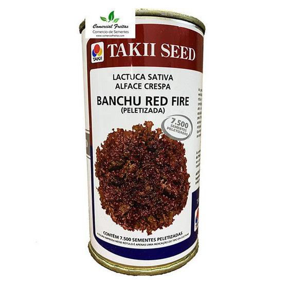 Sementes de Alface Banchu Red Fire Lata C/ 7.500 Sementes - TAKII ...