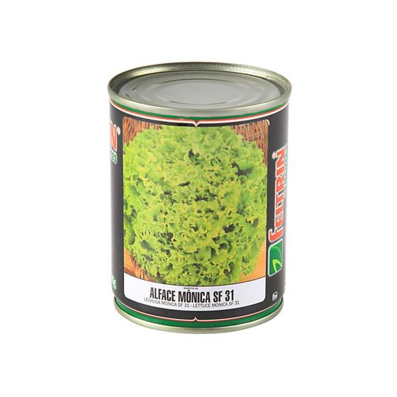 Sementes Feltrin Alface Mônica SF31 50g - Sementes - Magazine Luiza