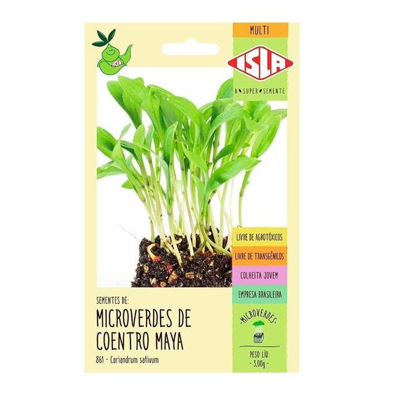 Sementes Microverdes de Coentro Maya Isla, 3g - Embalagem com 20 ...
