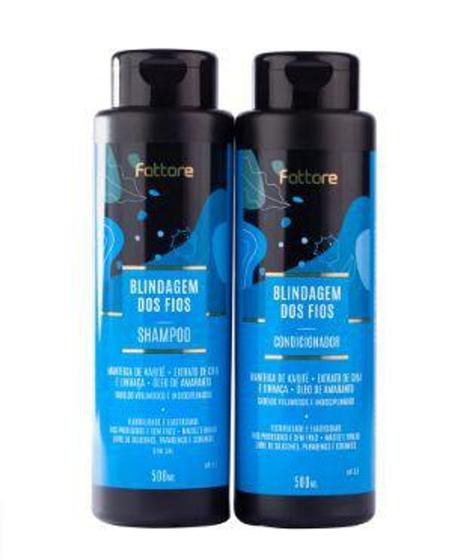 Shampoo e condicionador Blinda Fios Fattore 500ml - Kit Shampoo e ...