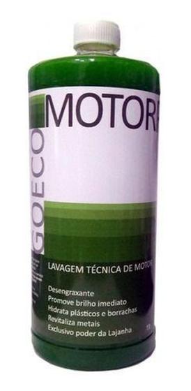 SHAMPOO PARA MOTOR E DESENGRAXANTE MotorPro 1Lt - Go Eco Wash ...