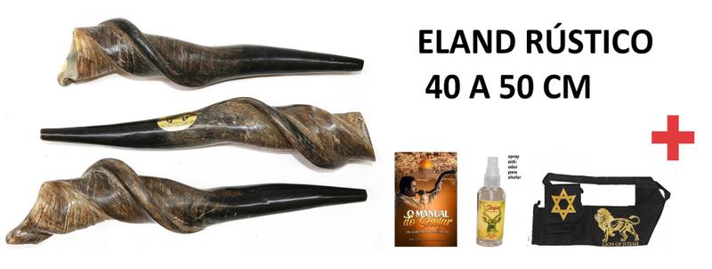 Shofar De Antílope Cefo / Eland / Tocha + Livro - De Israel - jerusalem ...