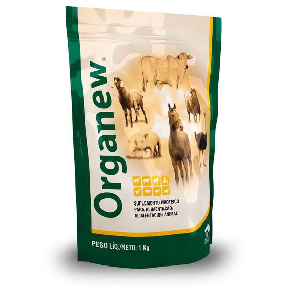 Suplemento Proteico Probiótico Organew Vetnil - 1 Kg - Vitaminas e ...