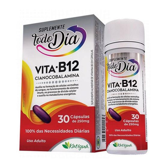 Suplemento Todo Dia Vita B12 250mg 30 cáps - Katiguá - Multivitamínico / Polivitamínico ...